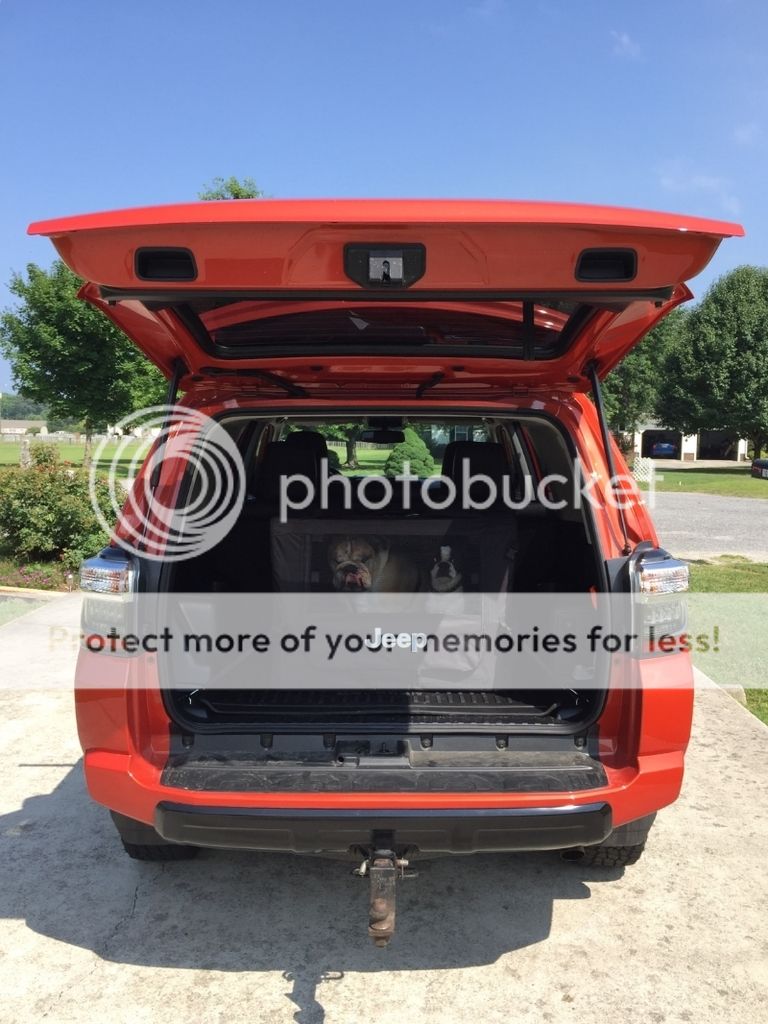 Dog Proofing my new 4Runner? - Page 2 - Toyota 4Runner Forum - Largest ...