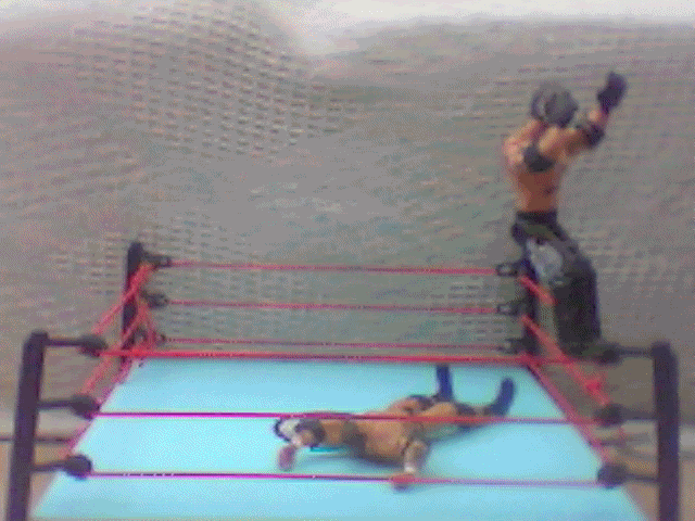 Moonsault | Wrestlingfigs.com WWE Figure Forums