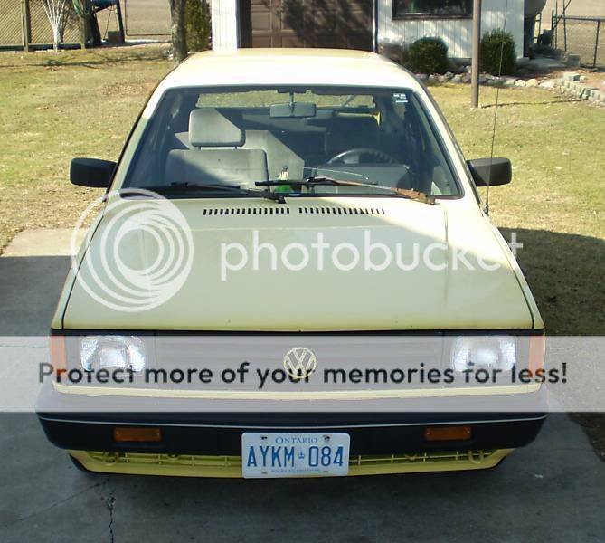 Looking into a fox, | VW Vortex - Volkswagen Forum