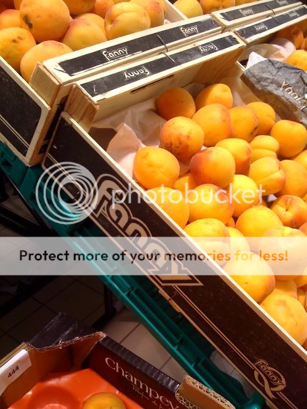 The worlds worst brand names - General Chat - TLF - Totally Lotus